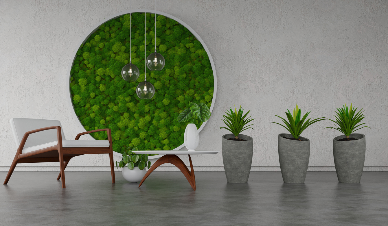 Slike od mahovine - Renata Flora Art- interijeri & terase